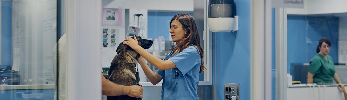 How to Qualify for Veterinary Practice Financing - PlainsCapital Bank